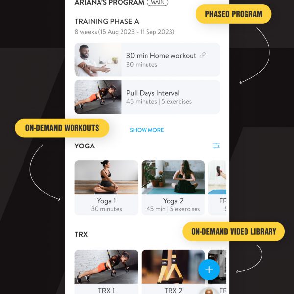 Programming Overview Graphic • Fitness Business Blog