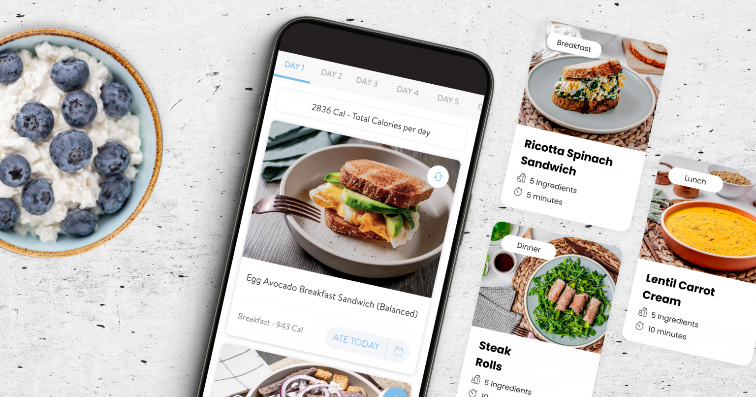 TRAINERIZE UPDATE | Savor the New: Recipes to Inspire and Get Cooking